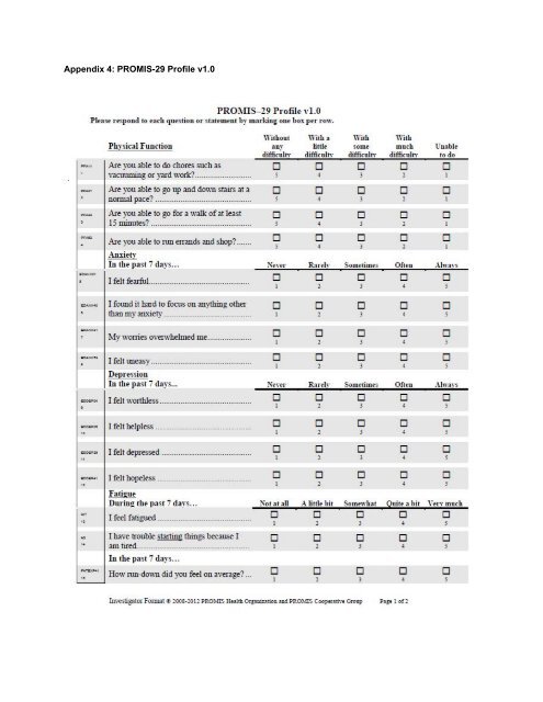 Appendix 4: PROMIS-29 Profile v1.0