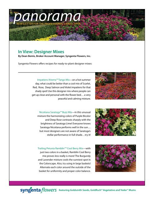 Syngenta Flowers Goldsmith Seeds | Best Flower Site