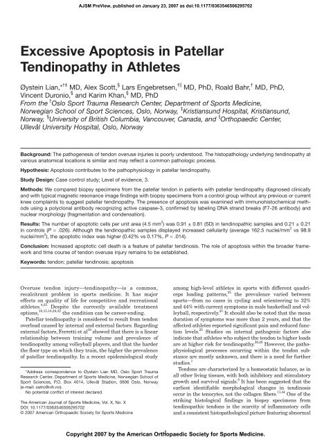 Excessive Apoptosis in Patellar Tendinopathy in Athletes