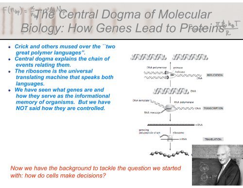 Lecture 6 - Rob Phillips Group - Caltech