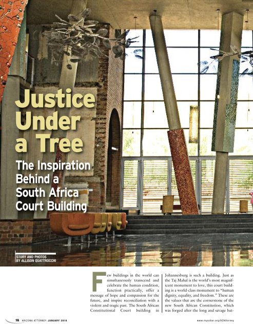 Justice Under a Tree - Lawyers