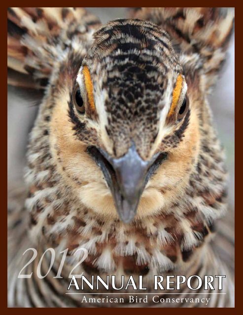 AnnuAl RepoRt - American Bird Conservancy
