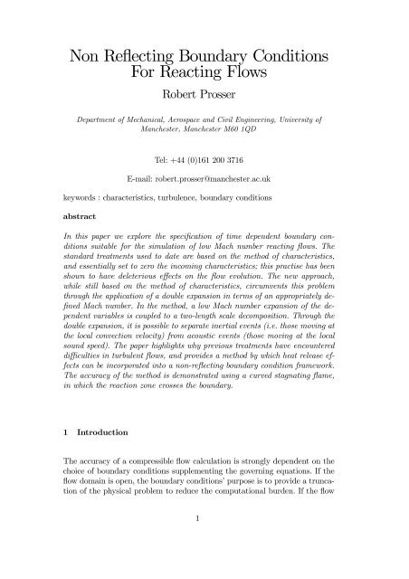Non Reflecting Boundary Conditions For Reacting Flows - Fyper