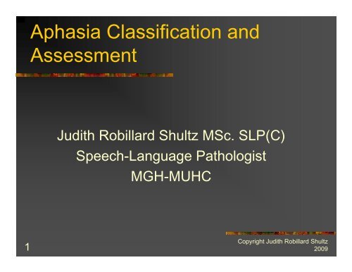 Aphasia Classification and Assessment