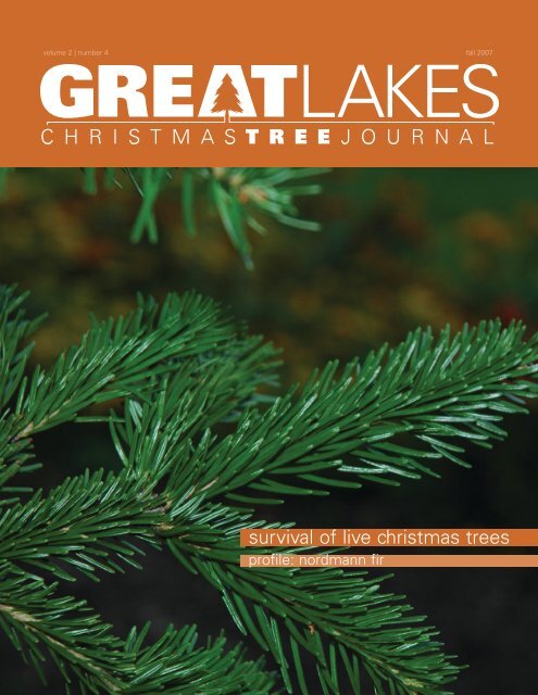 Nordmann fir - Department of Horticulture - Michigan State University
