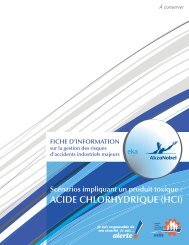 Réaction entre l'acide chlorhydrique et le fer _Doc ... - Pierron