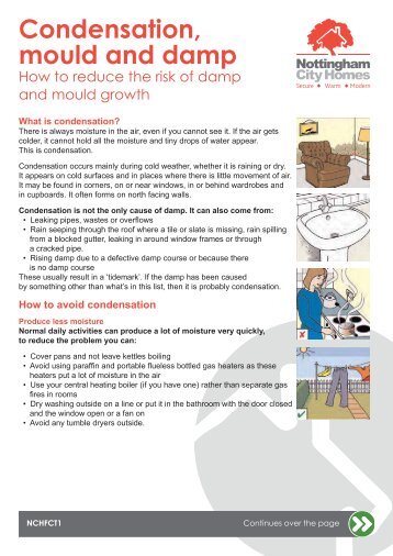 Damp Mould & Condensation