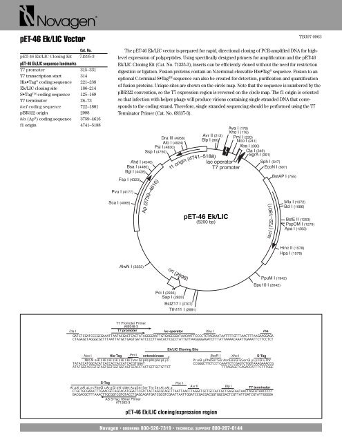 TB397 pET-46 Ek/LIC - UCLA