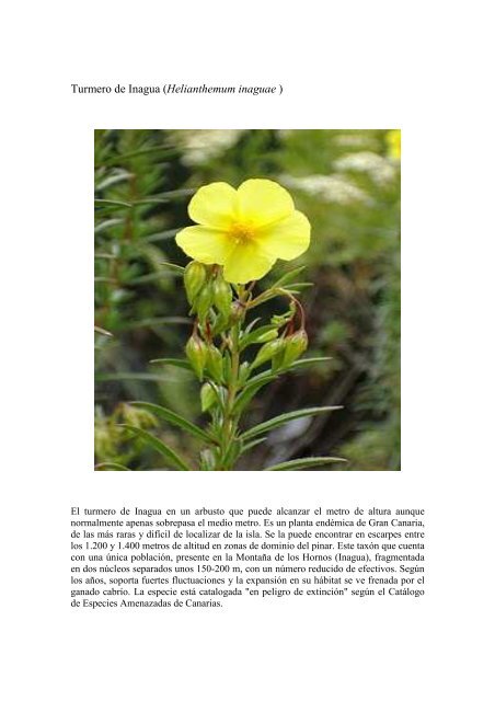 Turmero de Inagua (Helian