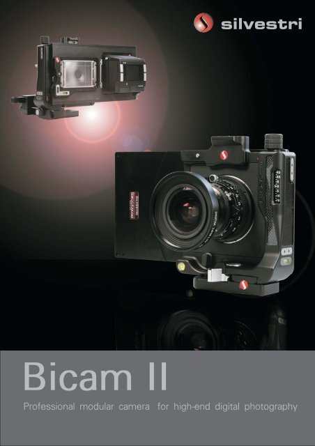 Bicam II - Silvestri