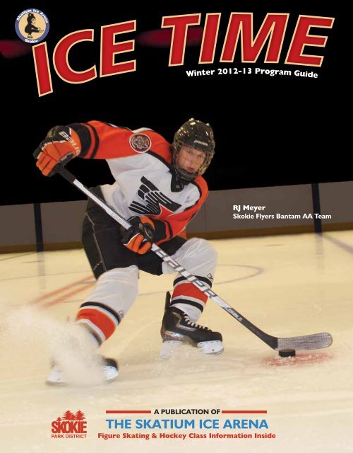 THE SKATIUM ICE ARENA - Skokie Park District