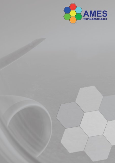 PRODUCT DATA SHEET - AMES.AERO