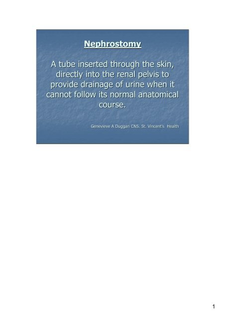 Nephrostomy Location