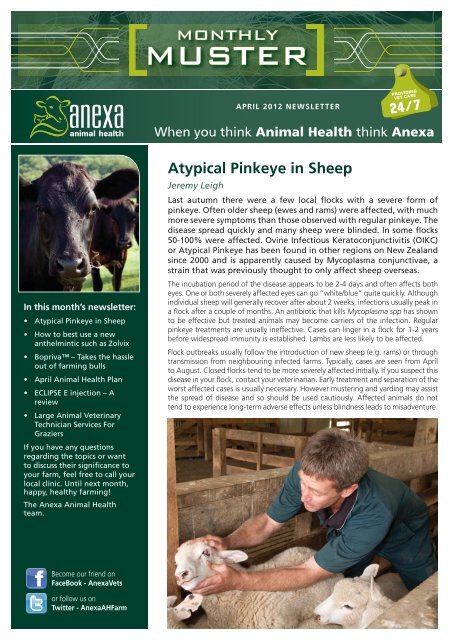 Eclipse E Injection - Anexa Animal Health