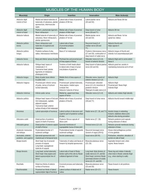 MUSCLES OF THE HUMAN BODY