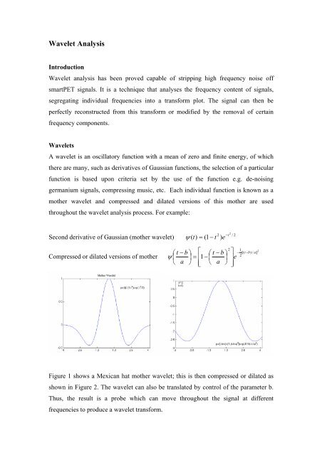 Wavelet Analysis.pdf