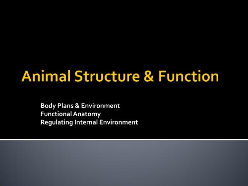 Animal Structure & Function