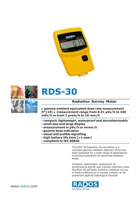RDS 30 Radiation Survey Meter