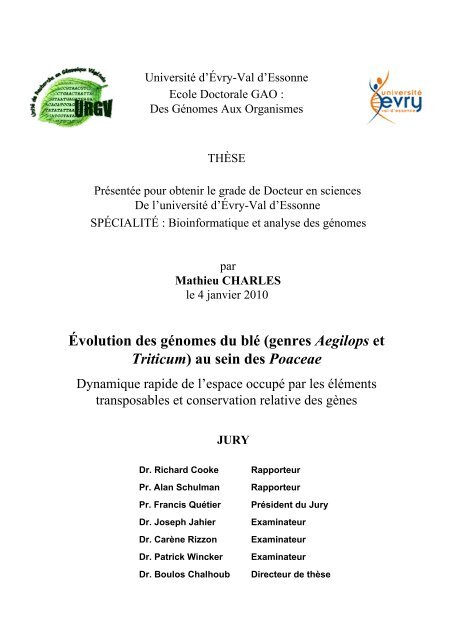 Évolution Des Génomes Du Blé Genres Aegilops Et Triticum Au Sein