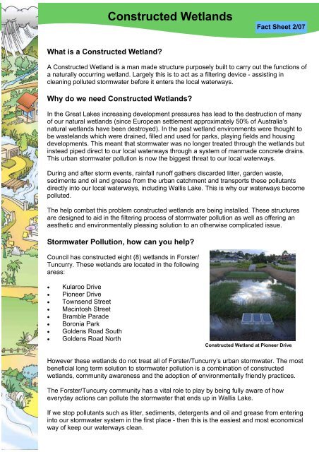 Constructed Wetlands Fact Sheet - Great Lakes Council