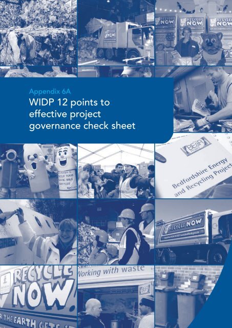 WIDP 12 points to effective project governance check sheet