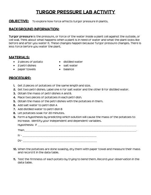 TURGOR PRESSURE LAB ACTIVITY