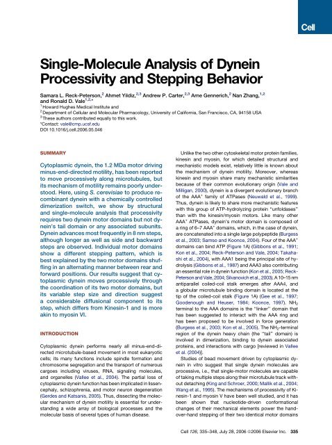 Single-Molecule Analysis of Dynein Processivity and Stepping ...
