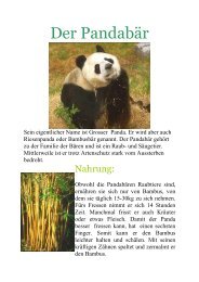 Steckbrief Katze Feinde