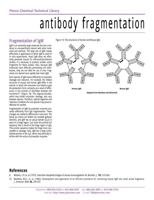 antibody fragmentation - jeno biotech inc