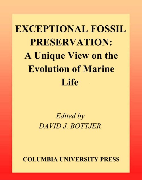 EXCEPTIONAL FOSSIL PRESERVATION: A Unique View on the ...