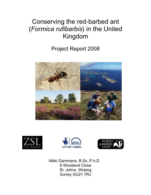 Conserving the red-barbed ant (Formica rufibarbis) in the ... - Hymettus