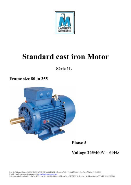 Standard cast iron Motor - LAMBERT MOTEURS