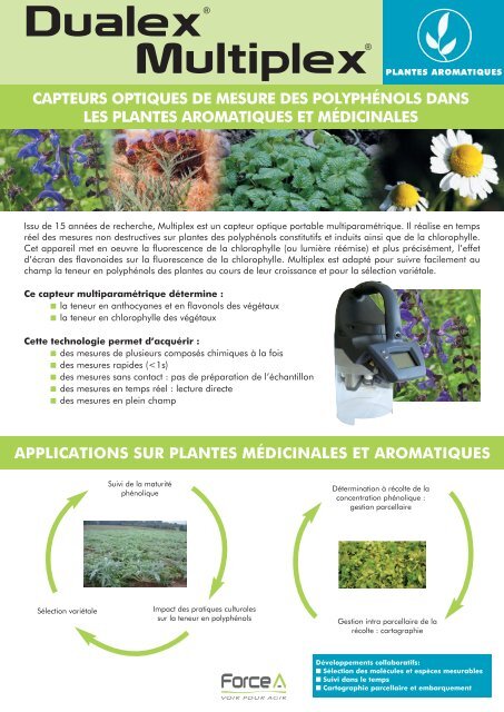 Multiplex Dualex - Force-A