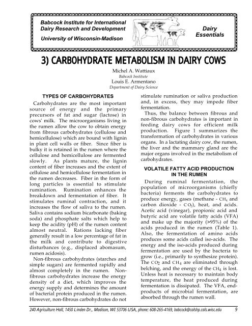 3) carbohydrate metabolism in dairy cows - Babcock Institute ...
