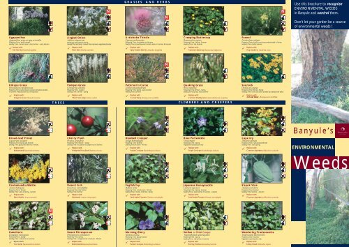 N - Banyule City Council