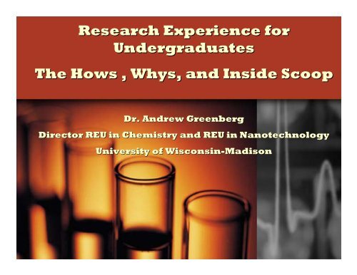 What is a REU Program?