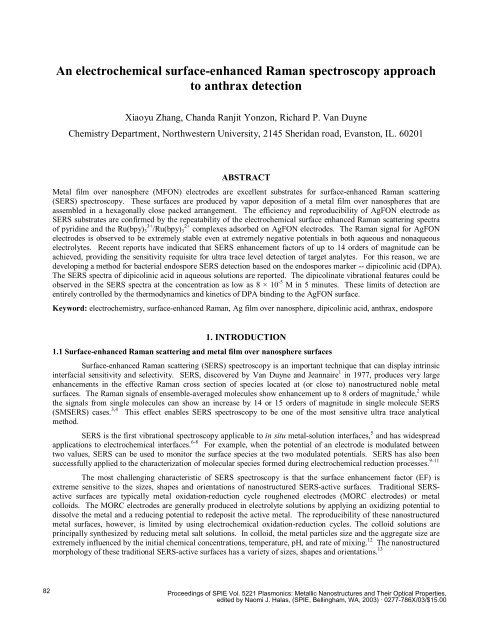 An Electrochemical Surface Enhanced Raman Spectroscopy