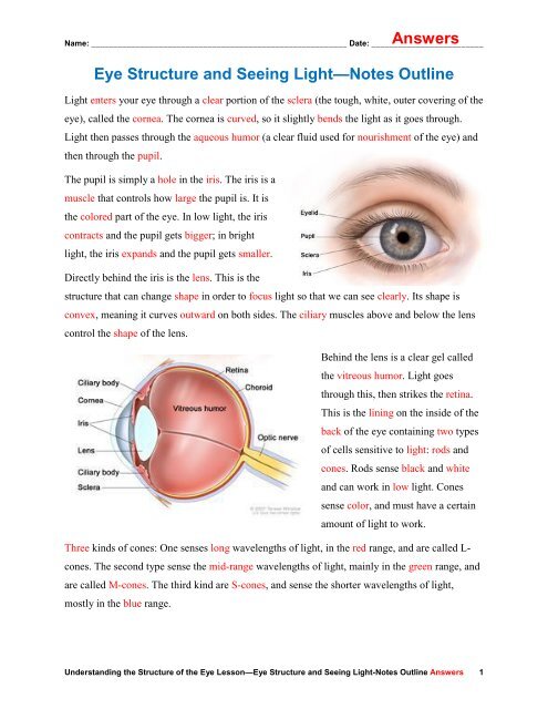 Eye Structure and Seeing Light—Notes Outline Answers (pdf)