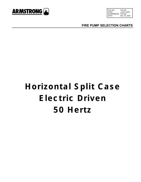 Horizontal Split Case Electric Driven 50 Hertz - Armstrong Pumps