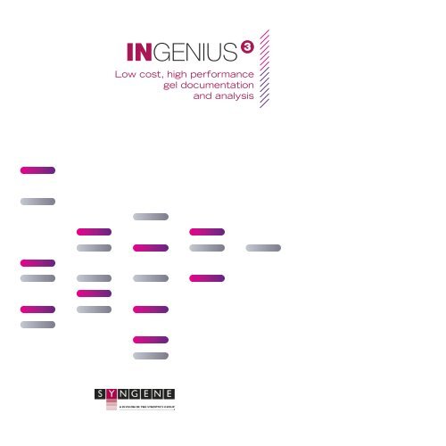 ingenius3 - Syngene