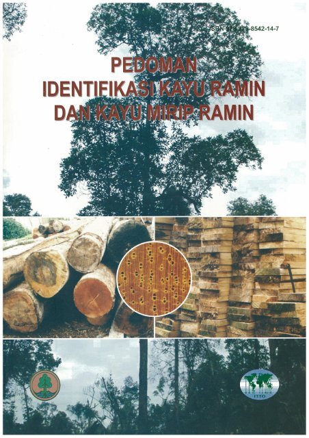 Pohon Ramin