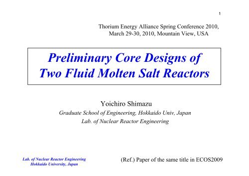 Preliminary Core Designs Of Two Fluid Molten Salt Reactors