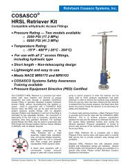 COSASCO Hydraulic Access Fitting Assemblies - Rohrback ...