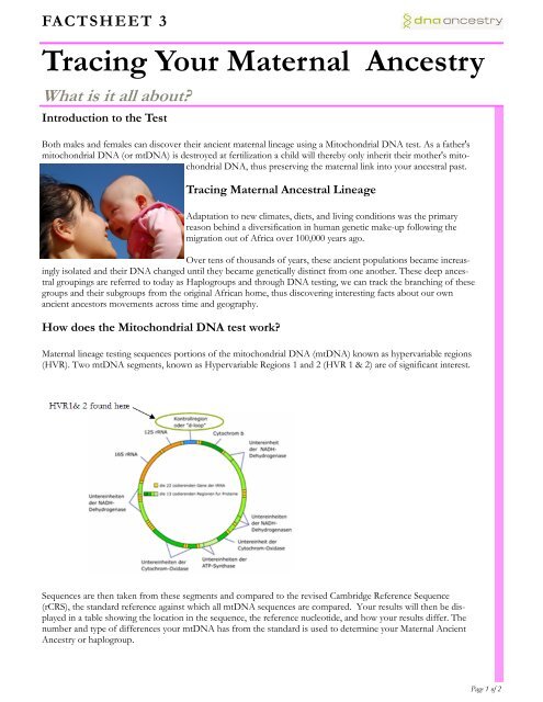 Tracing Your Maternal Ancestry - Ancestry.com
