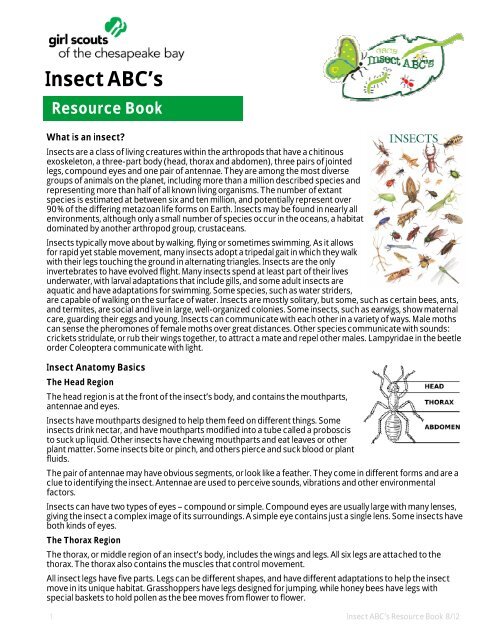 Insect ABC's Resource Book