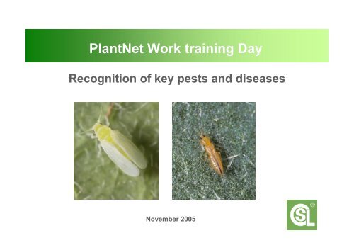 Identification of key pests & diseases