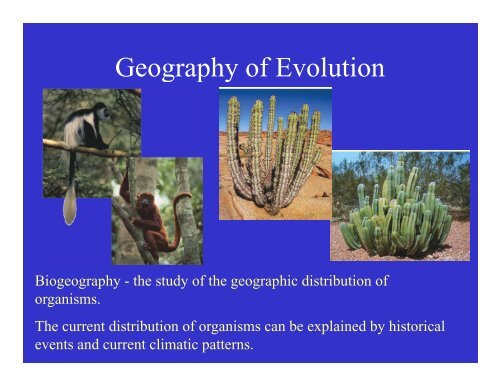 Geographic Distribution Evolution