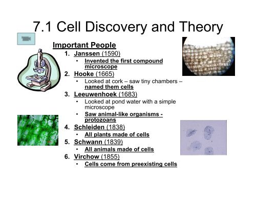 7.1 Cell Discovery and Theory