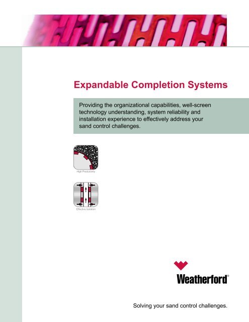 Expandable Completion - Weatherford International