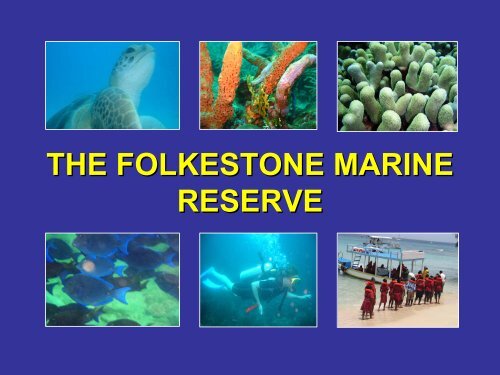 About the Folkestone Marine Reserve.pdf